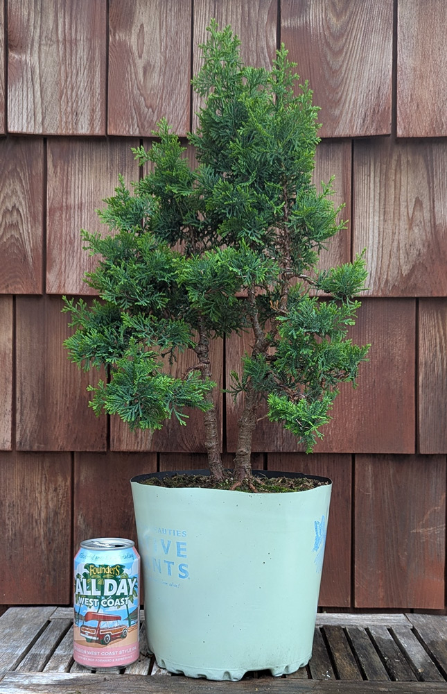 Congrats Joe Gagne, NEBA’s 2025 Nursery Stock Contest Winner ...